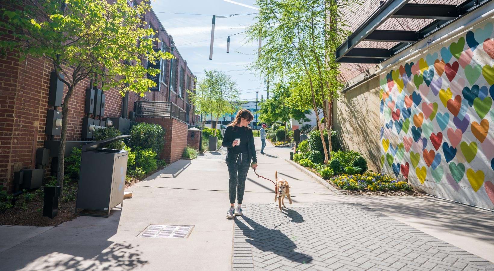 Discover Luxury South End Charlotte Apartments at Ello House